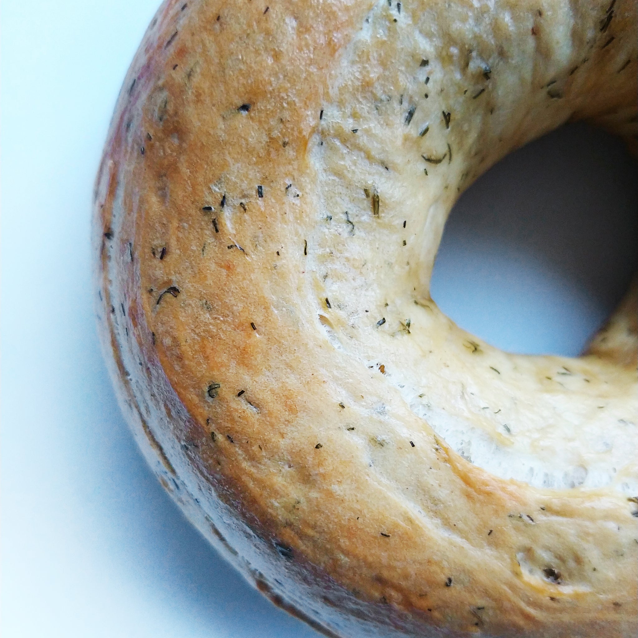 Spacebagels John Stein Brings A Taste Of New York To Tidewater